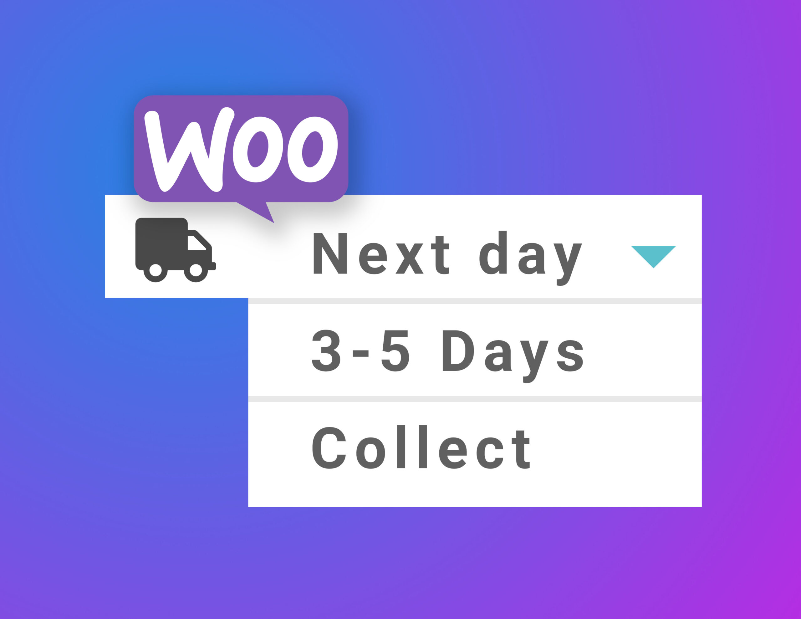 Display WooCommerce Shipping Methods as a Dropdown List